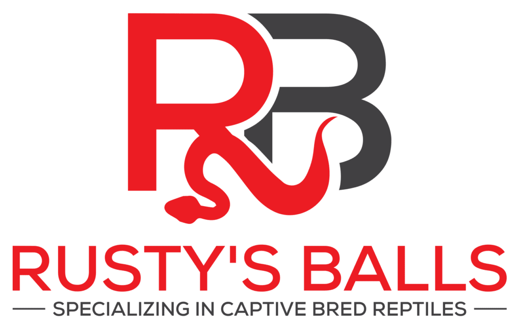 Ball Pythons - Rustys-Balls.com